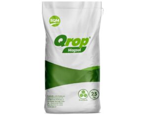 Kieserita (Magsul) – SQMC